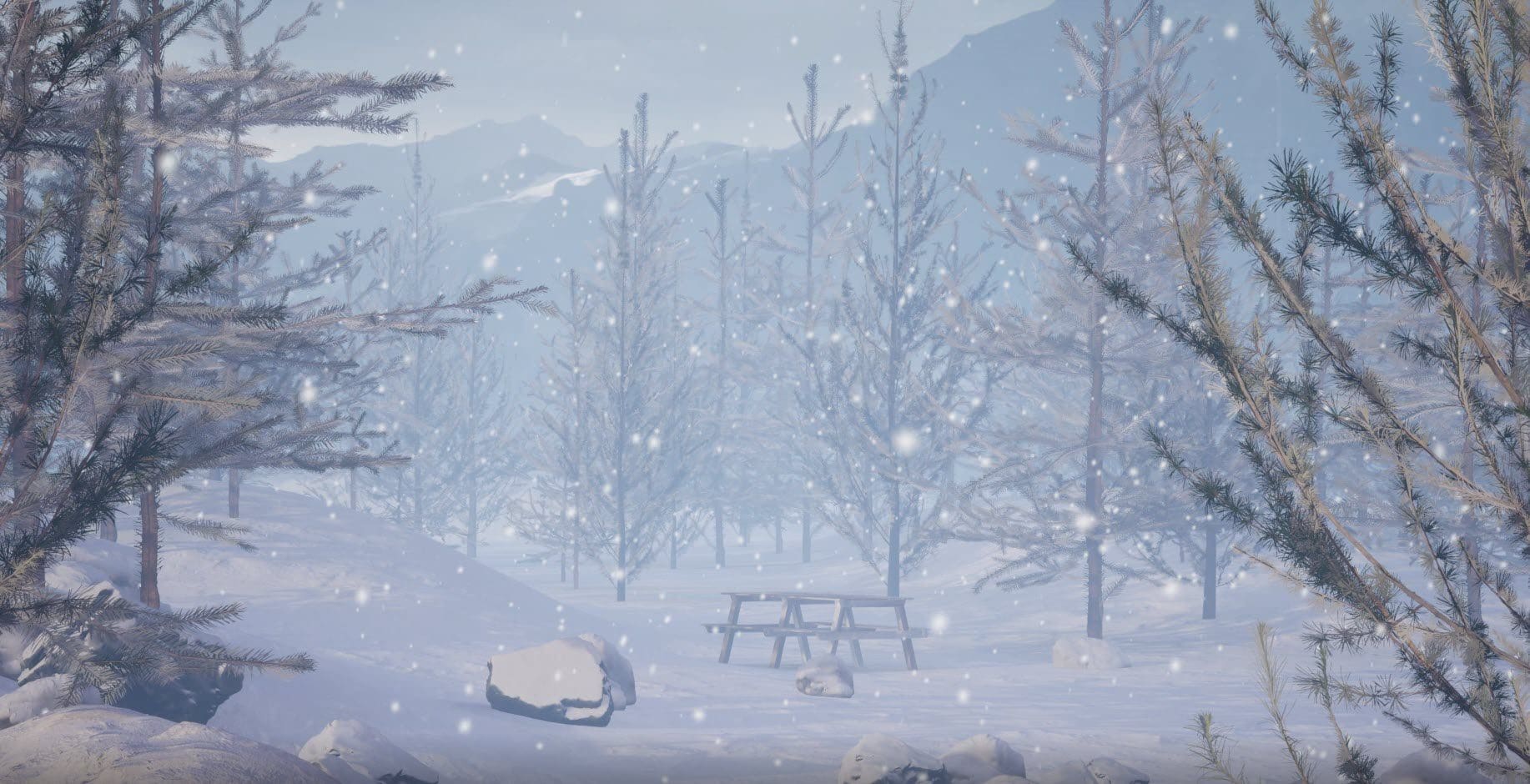 Svanhvít Ásta Jónsdóttir | Tækniskólinn